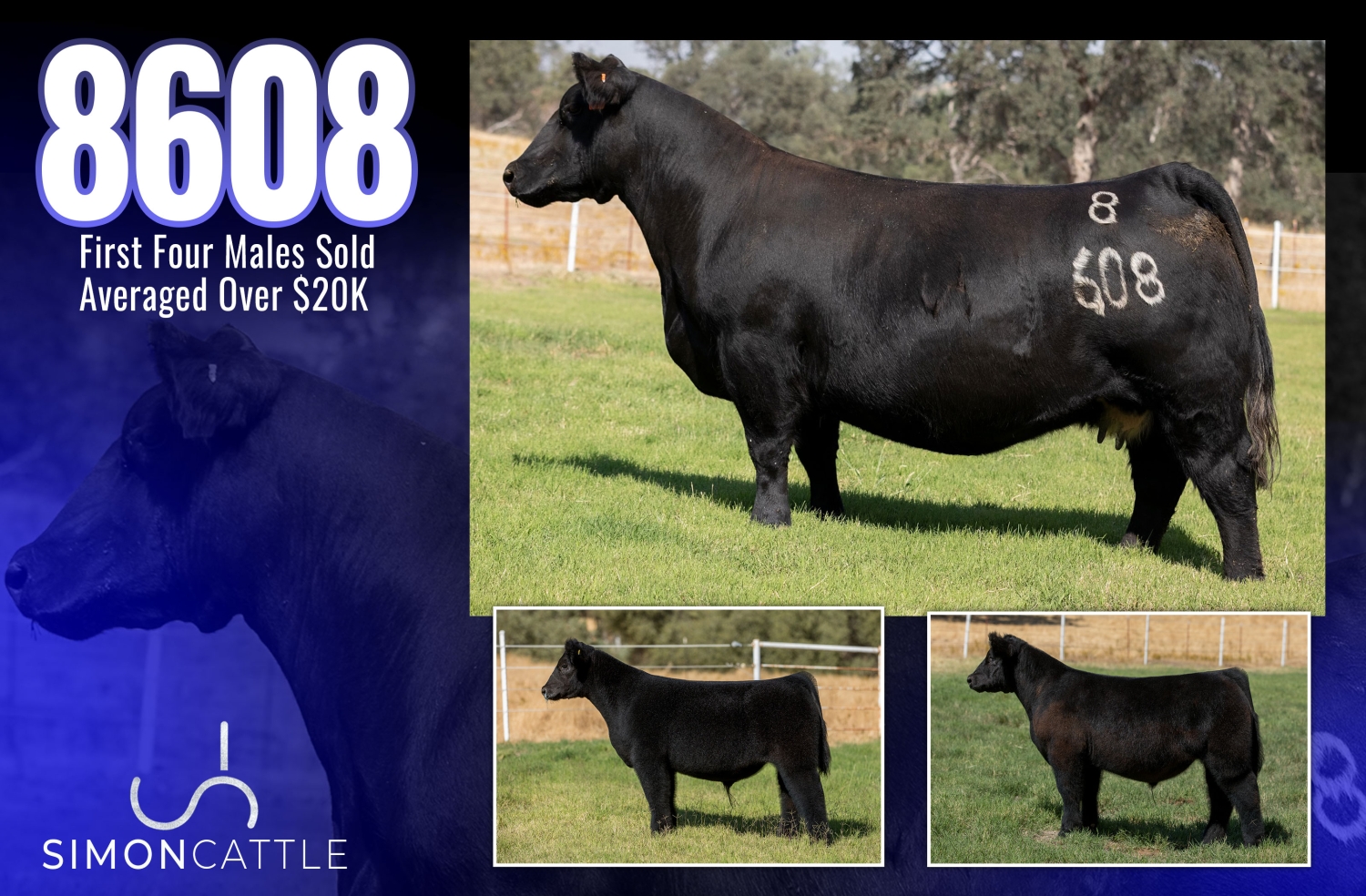 DONORS – Simon Cattle